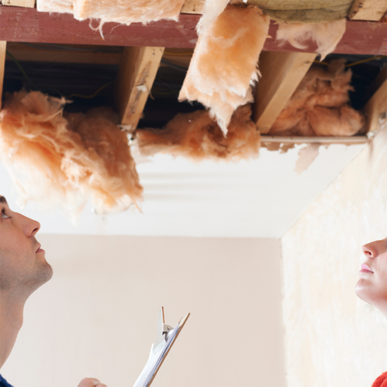 Action Termite Solutions - Action Termite Solution | Sunshine Coast ...